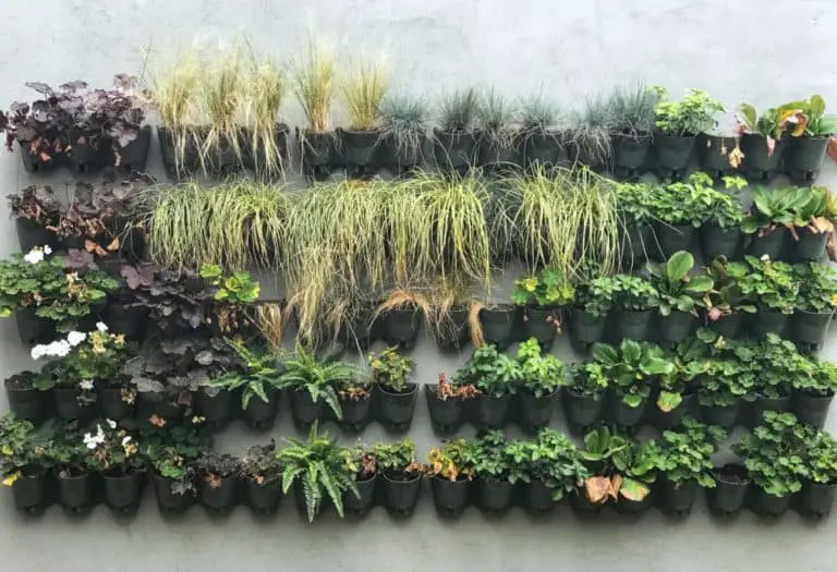 Creating an Incredible Green Wall Design with Green Wall Planters