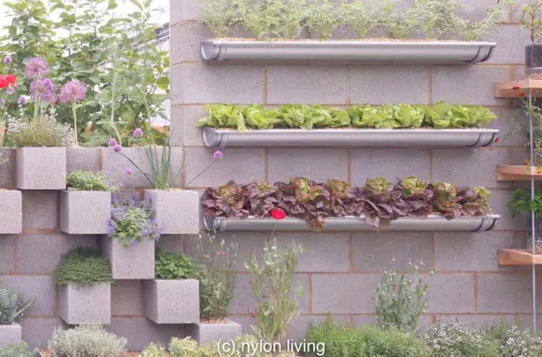 Creating an Incredible Green Wall Design with Green Wall Planters