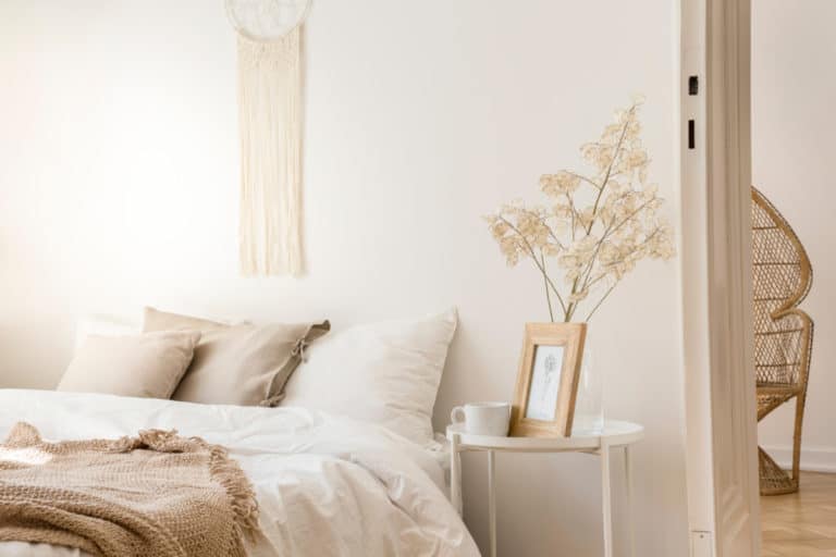 The 7 Best Colors That Go With Champagne (+ All Shades of Champagne)