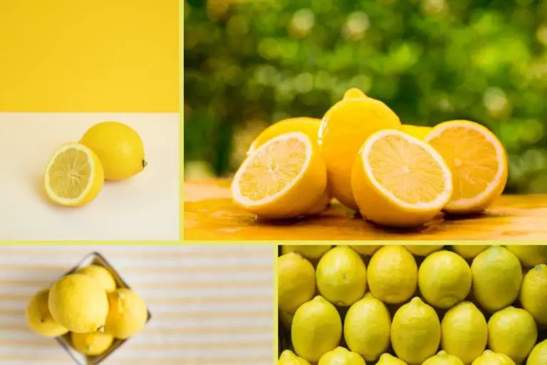 The Color Lemon Yellow: Cool Lemon Yellow Color Combinations