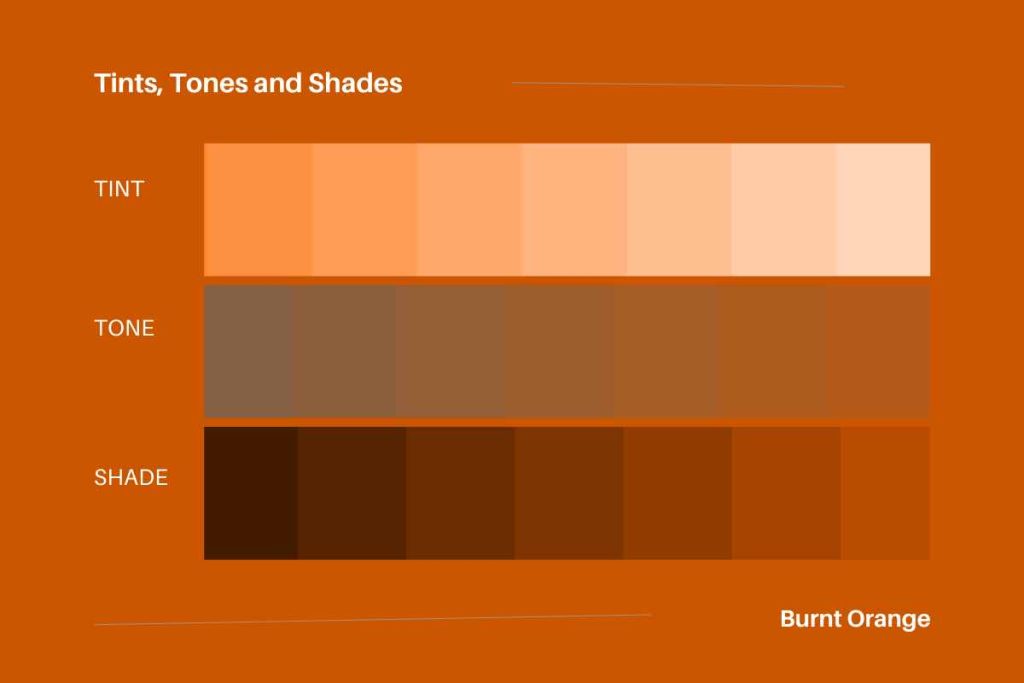 A Guide to The 25 Best Colors That Go With Burnt Orange